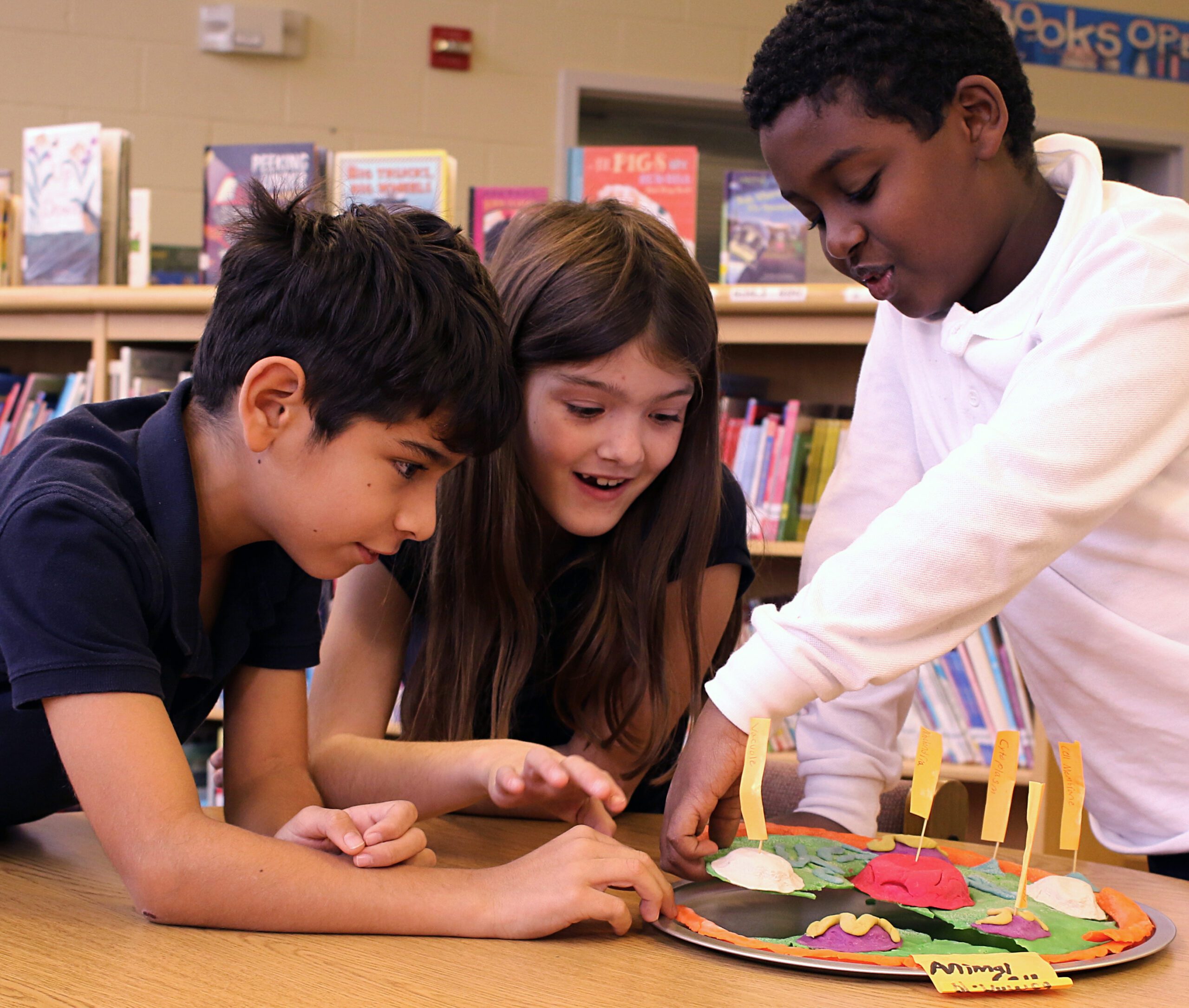 lc10 – Core Knowledge Foundation