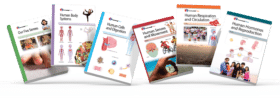 Core Knowledge Science Human Body Units (Grades K–5) – Core Knowledge ...