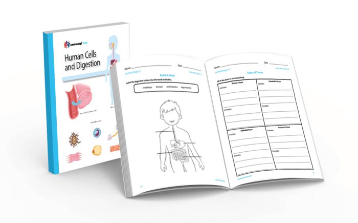 Core Knowledge Science Human Body Units (Grades K–5) – Core Knowledge ...