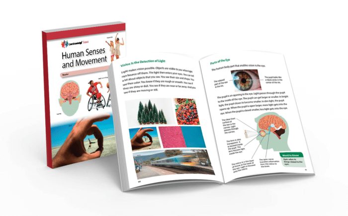 Core Knowledge Science Human Body Units (Grades K–5) – Core Knowledge ...