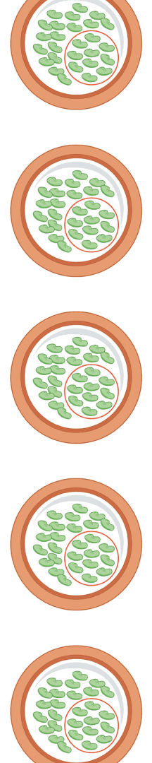 CKMath Unit 4: Numbers to 99 – Core Knowledge Foundation