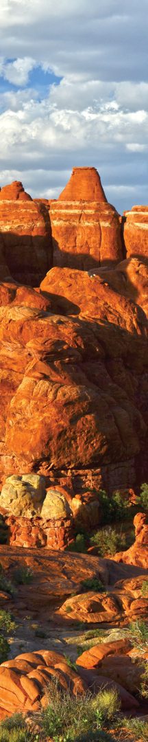 CKSci Unit 3: Exploring Land and Water – Core Knowledge Foundation