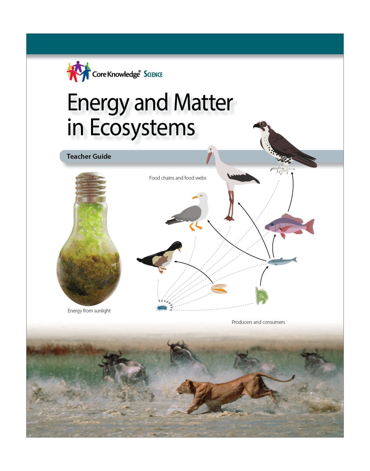 Energy and Matter in Ecosystems: CKSci Teacher Guide – Core Knowledge ...