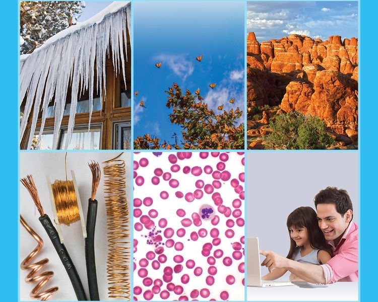 Science – Core Knowledge Foundation