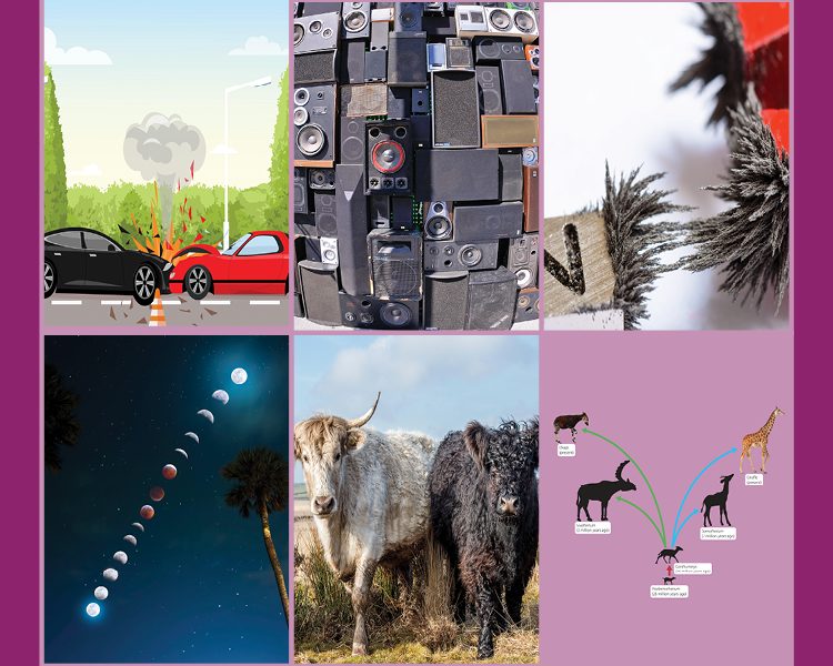 Science – Core Knowledge Foundation