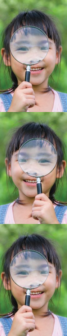 CKSci Unit 7: Science All Around Us – Core Knowledge Foundation